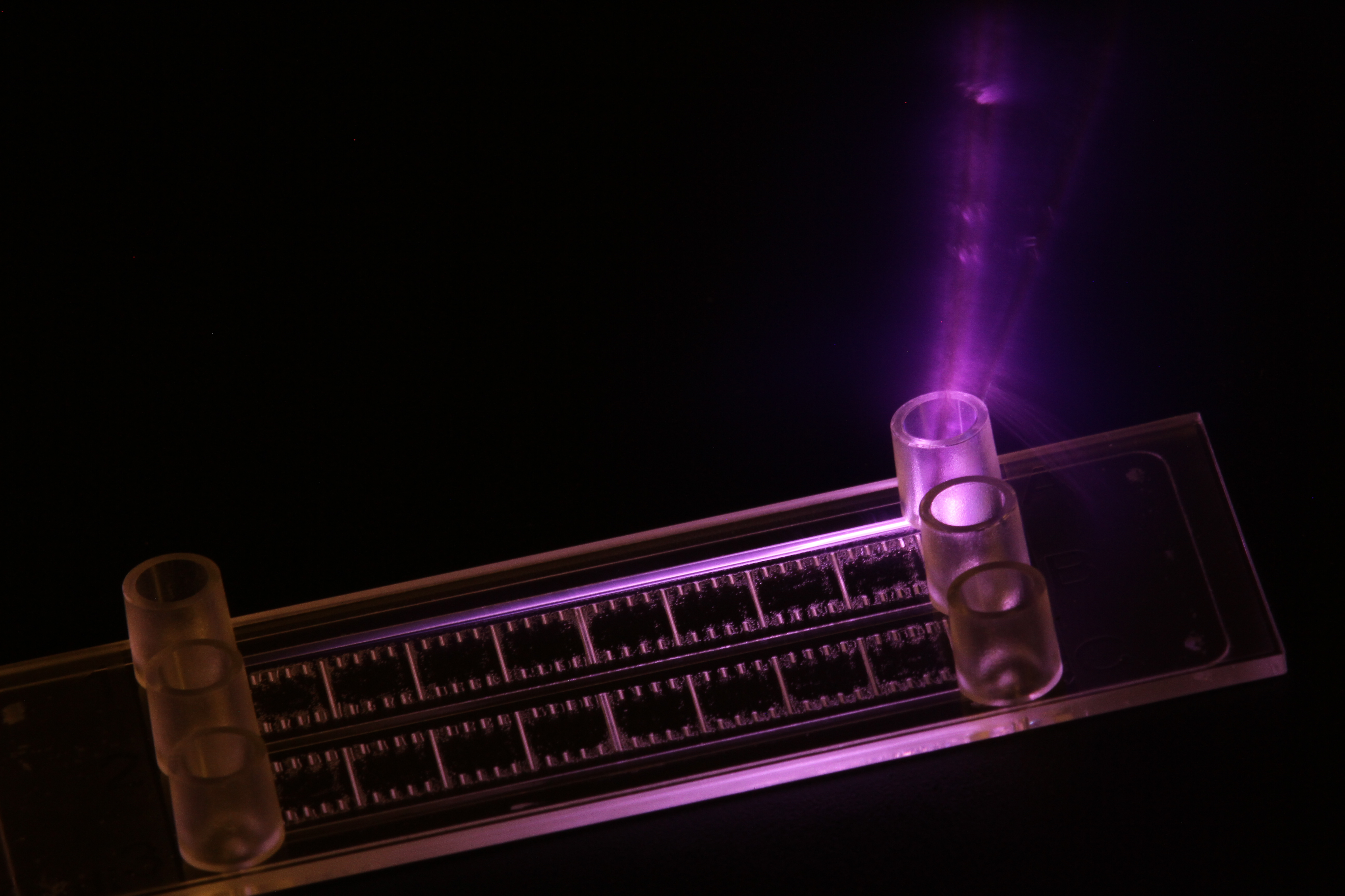 Wenzel Lab-24 – Wenzel Lab